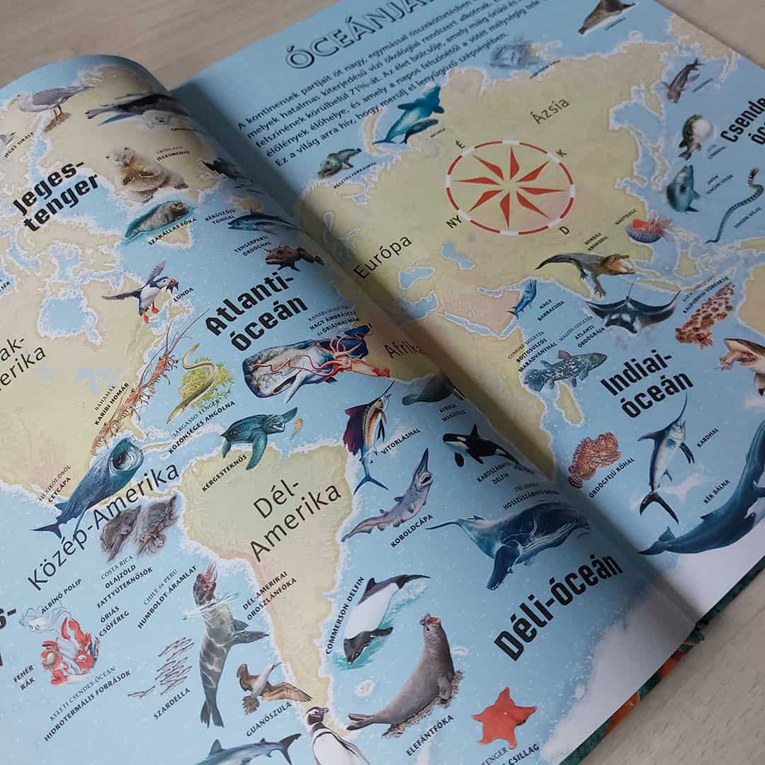 Atlasz az óceánokról - Izgalmas könyv nem csak cáparajongóknak!